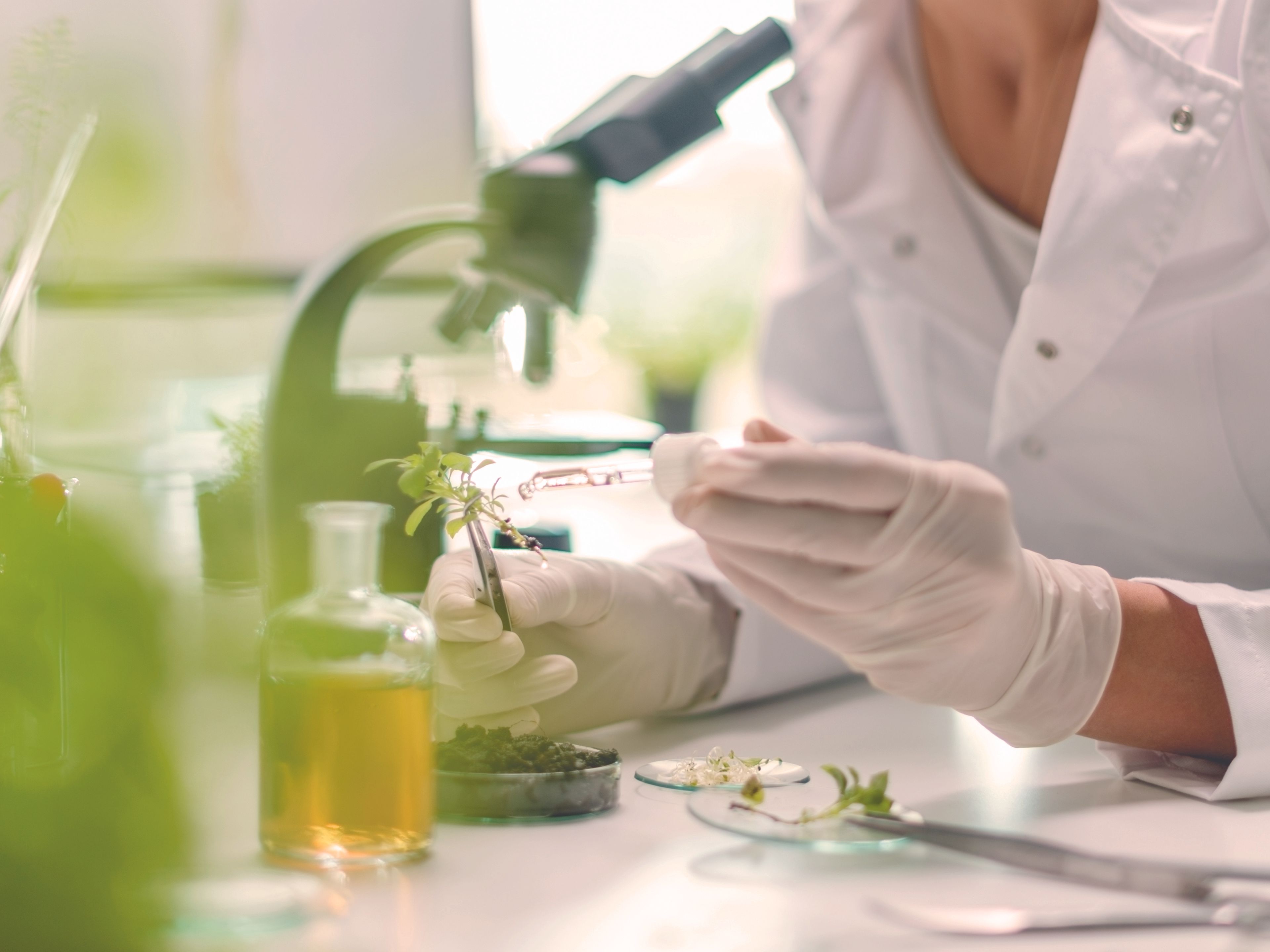 Home - NovaTaste Europe