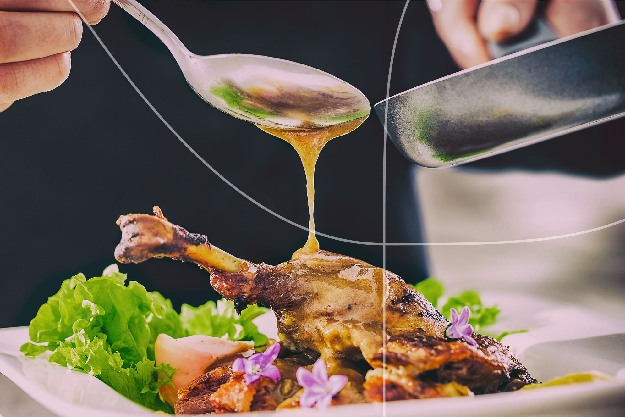 Home - NovaTaste Europe