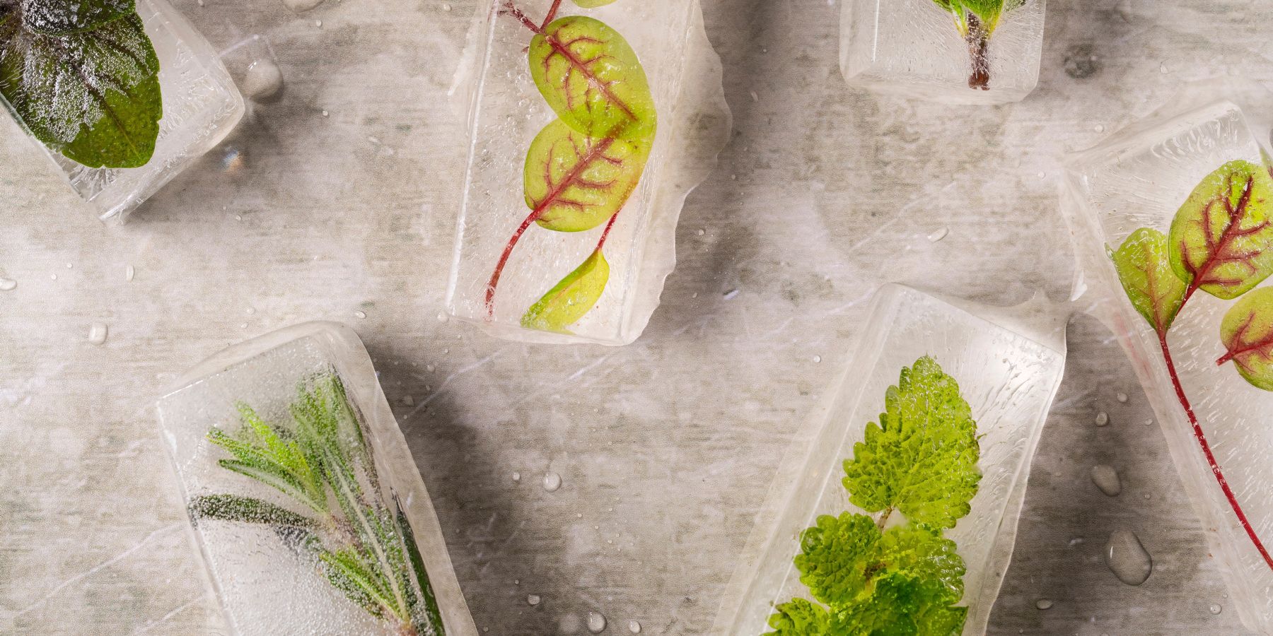 NovaTaste Wirkstoffe mit Funktion