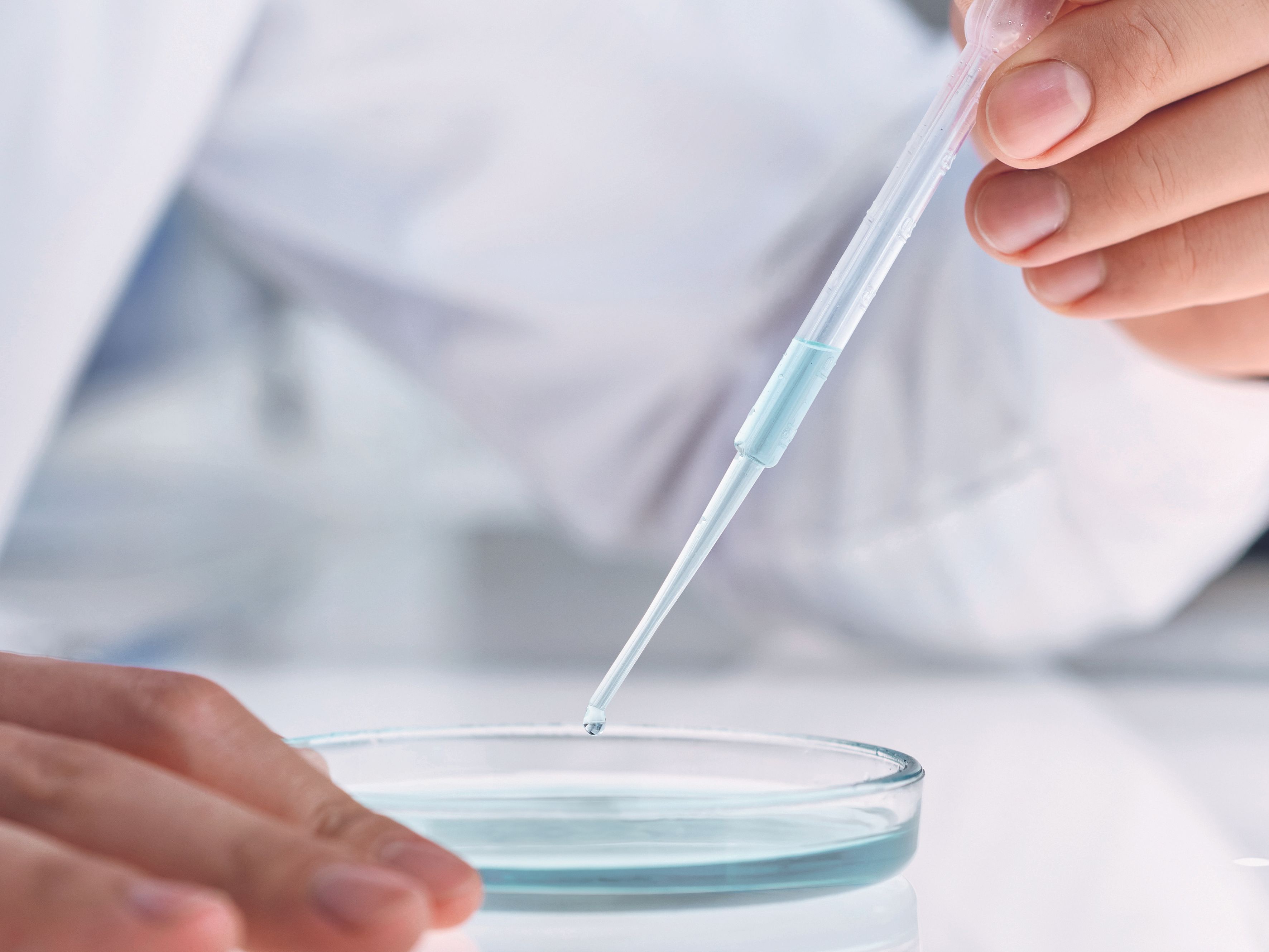 Laboratory